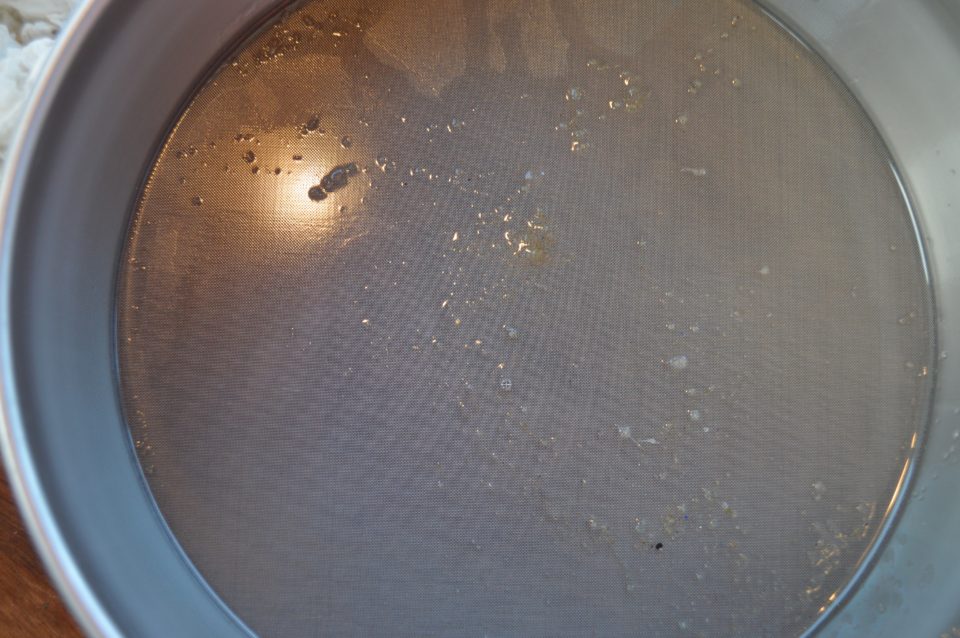 The use of molecular tools to monitor plankton communities - GIS Éolien ...