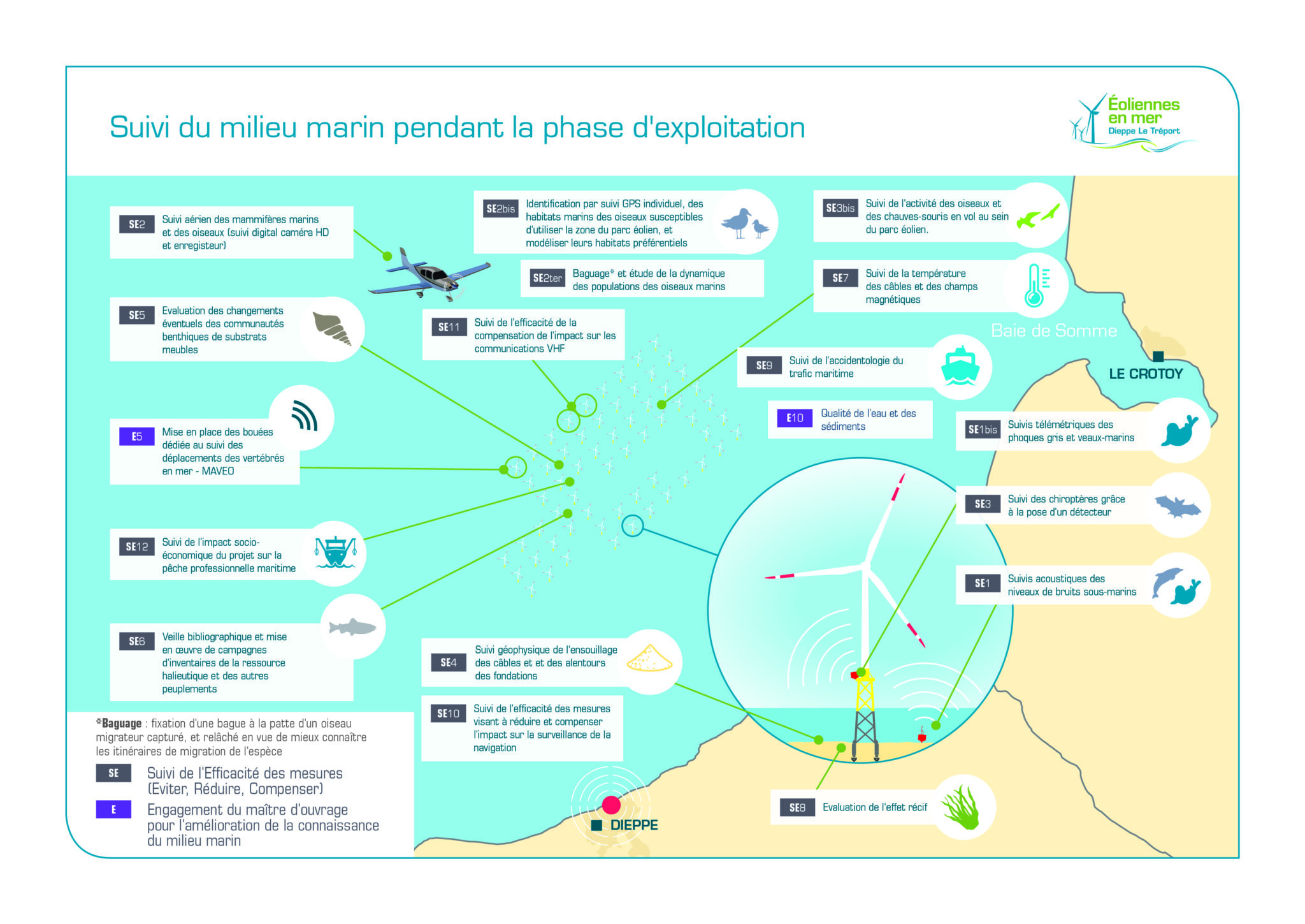 Overview of environmental monitoring at the Dieppe Le Tréport offshore ...
